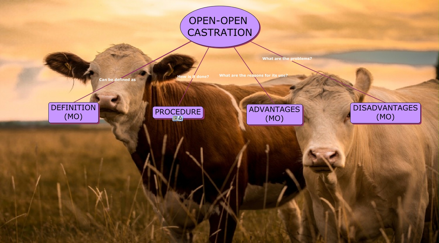 OPEN OPEN CASTRATION